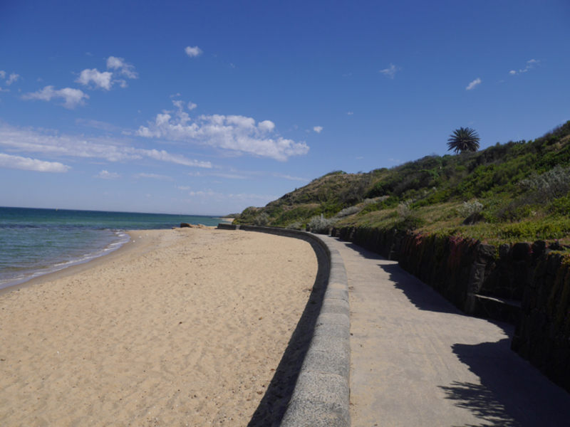 Sandringham Beach and Gardens Masterplan :: Have Your Say - Bayside ...