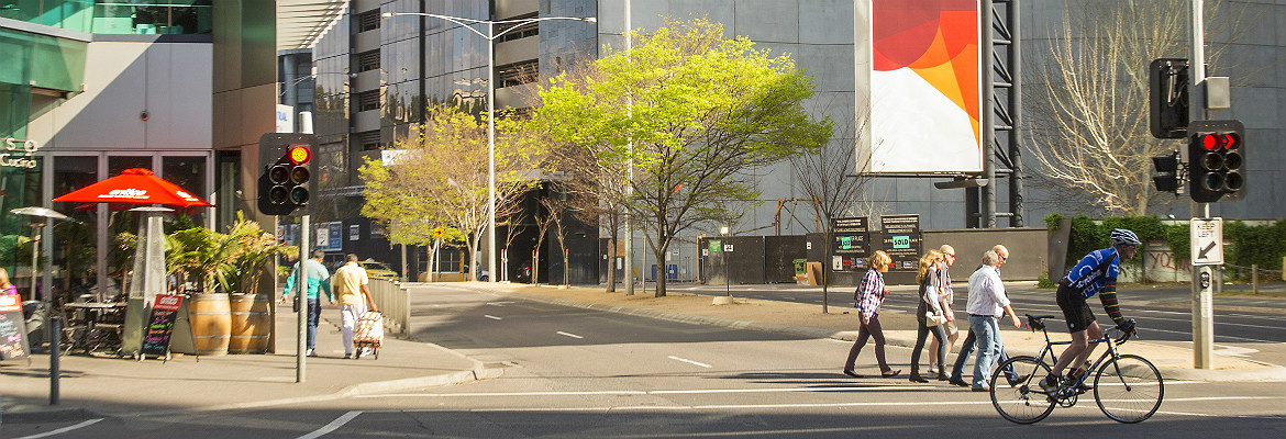 City of Melbourne Tree Planting Program :: Urban Forest Precinct Plans ...