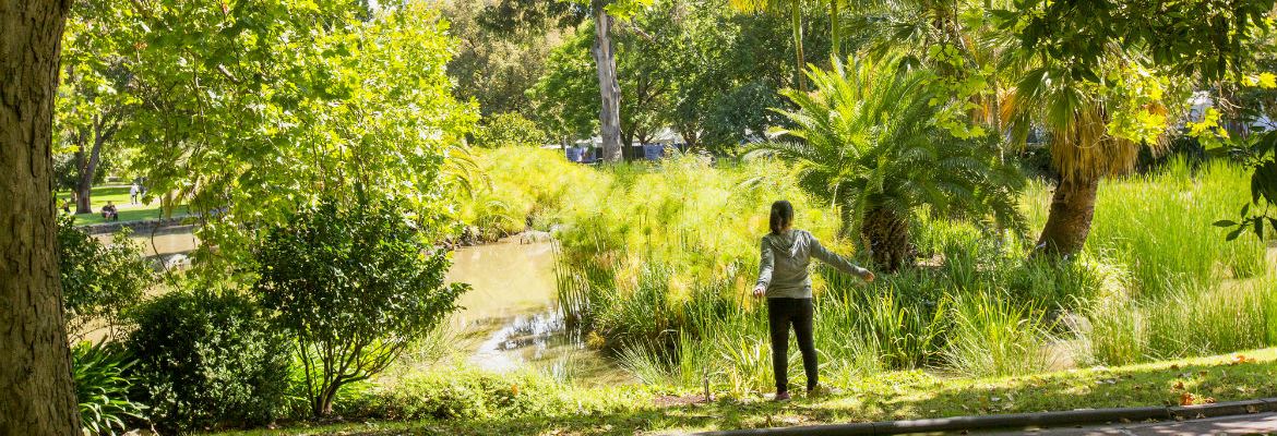 Focus area one: the natural environment :: Climate Change Adaptation ...