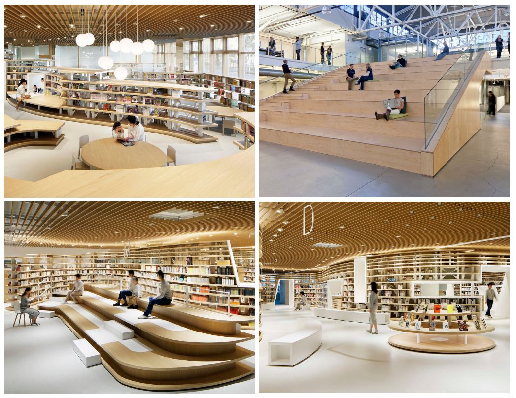 Shell Cove Library :: What's new in our Libraries :: Let's Chat ...