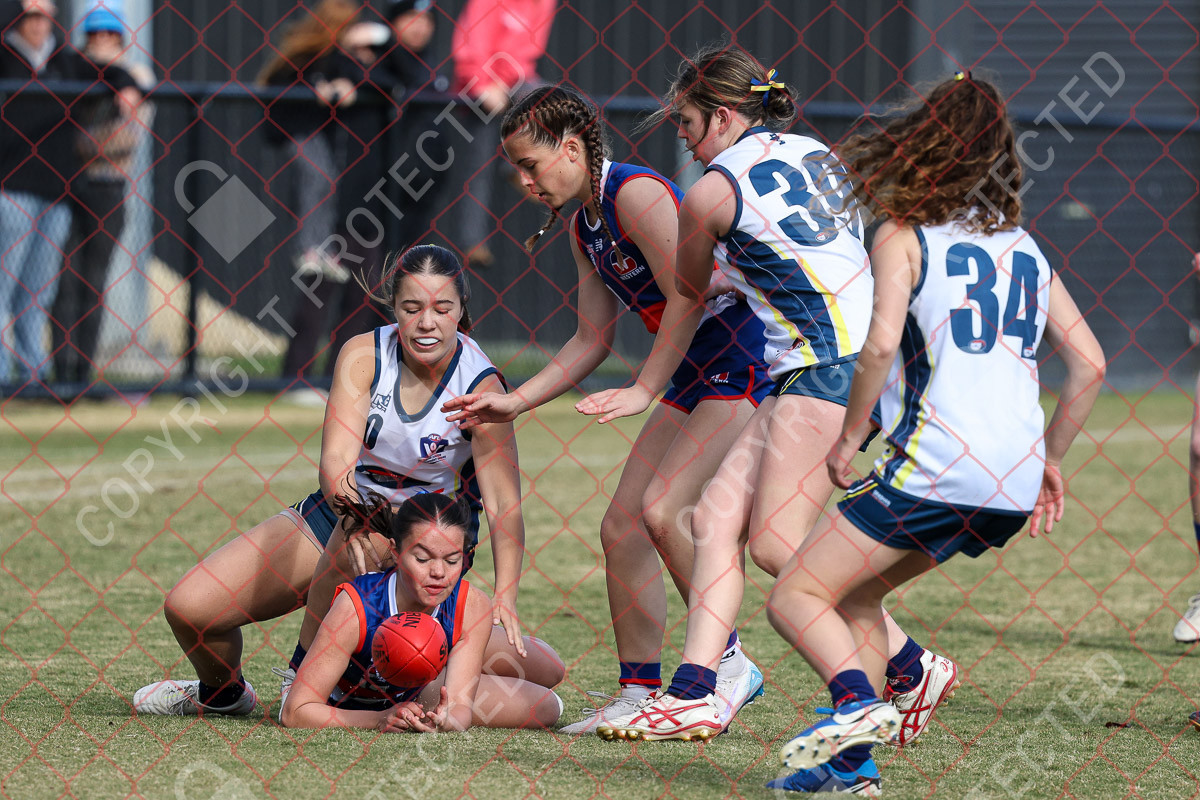 2025 Junior Interleague - Action Photos - Local Legends Team & Sport Photography
