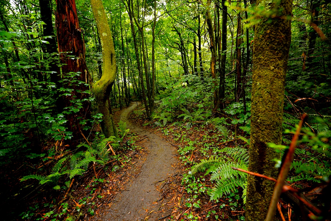 Must Ride: The Australian Alpine Epic Trail, Mt Buller