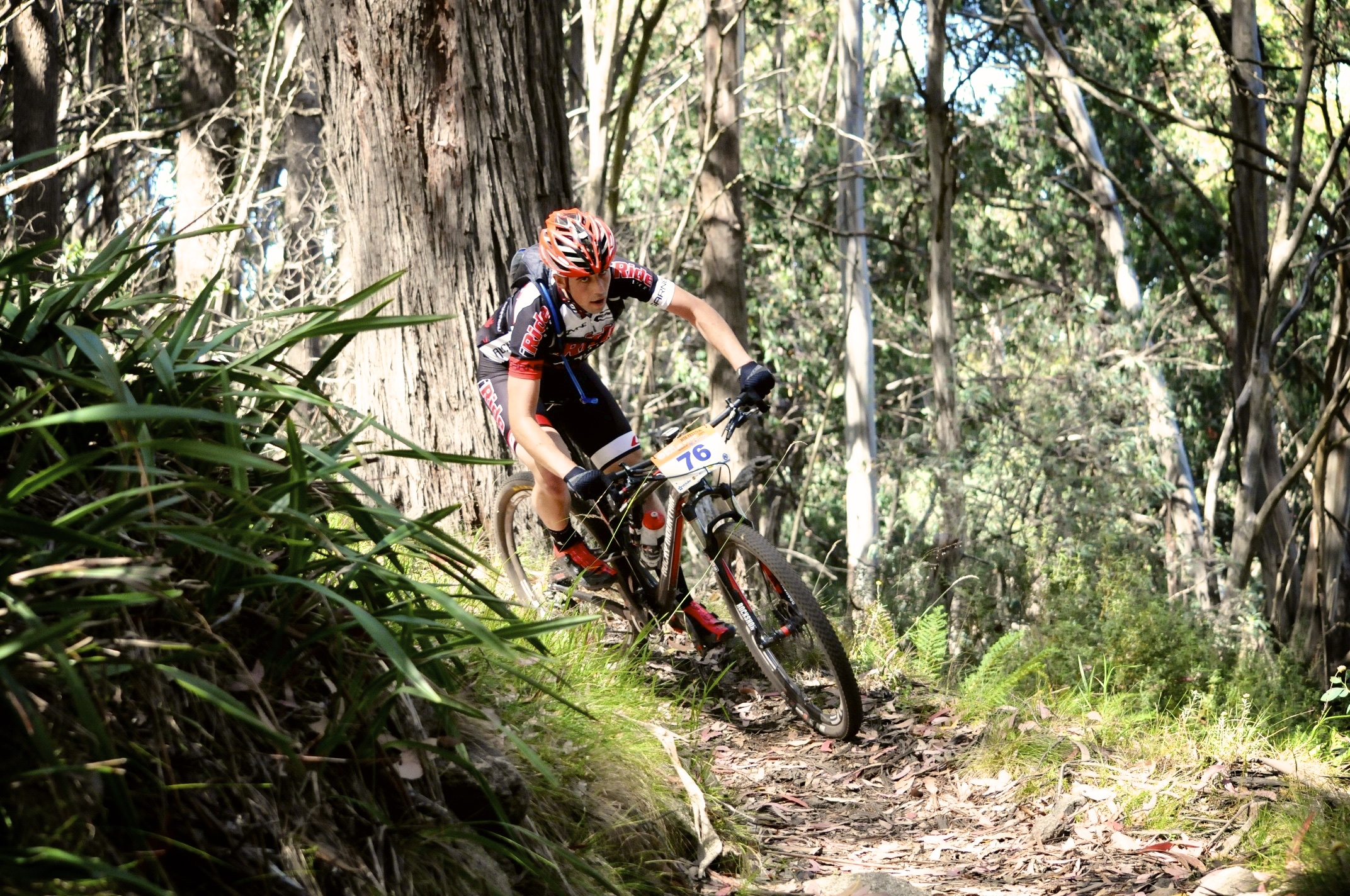 Mt Buller’s Signature Event, Bike Buller MTB Festival Presented by ...