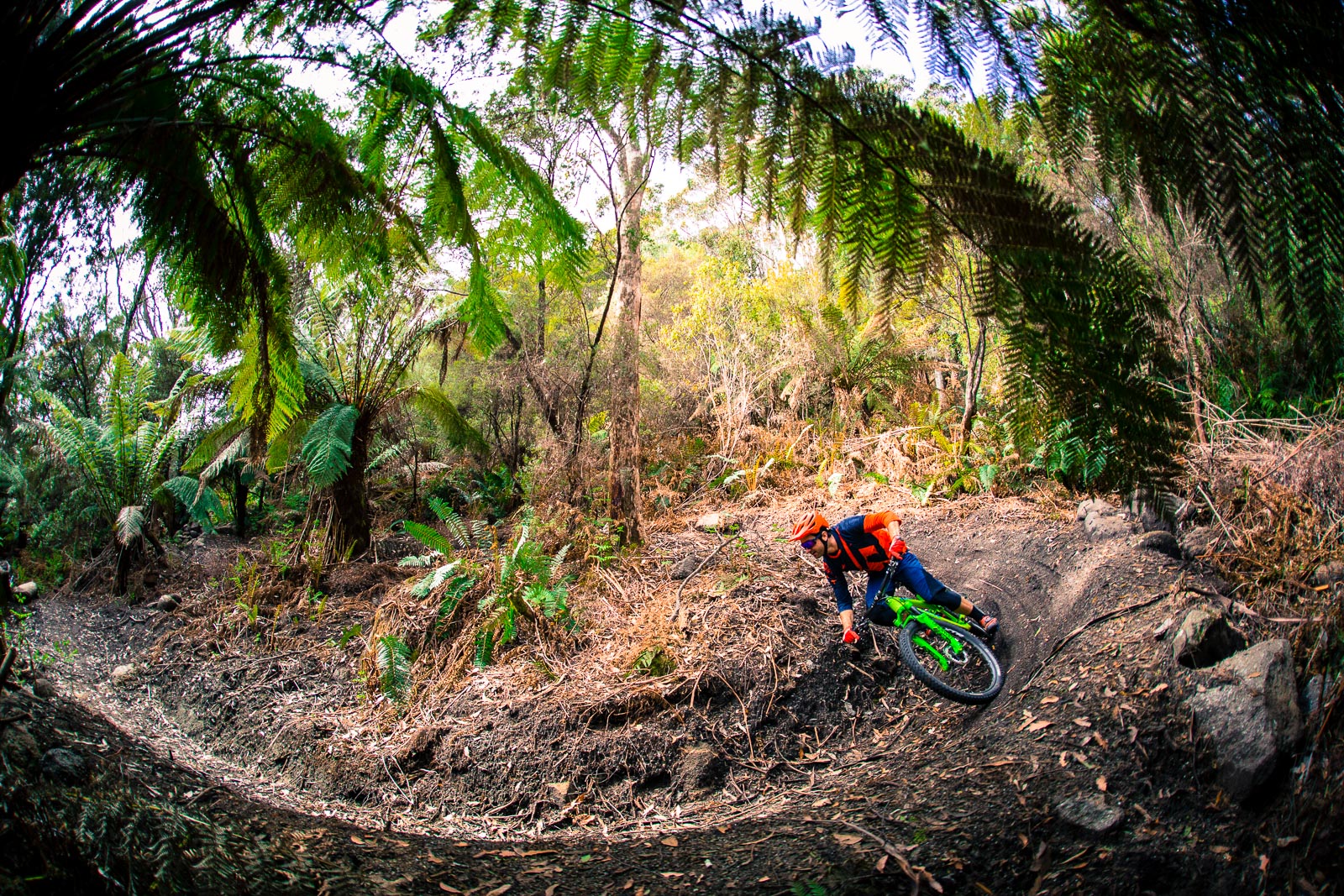 Must-Ride: Blue Derby, Stage 3 - World Class Tassie Trails