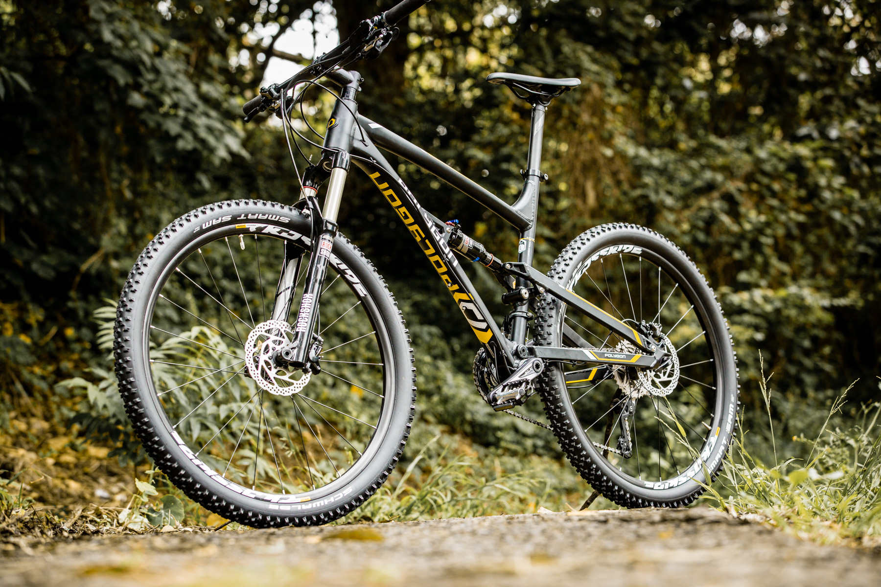 Flow's First Bite: Polygon Siskiu D8