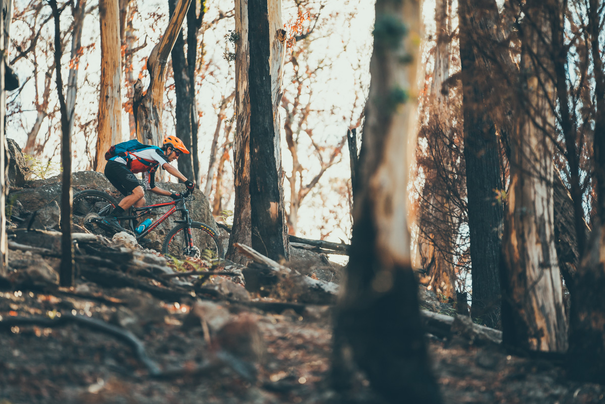 The Tassie MTB Road Trip: Hobart