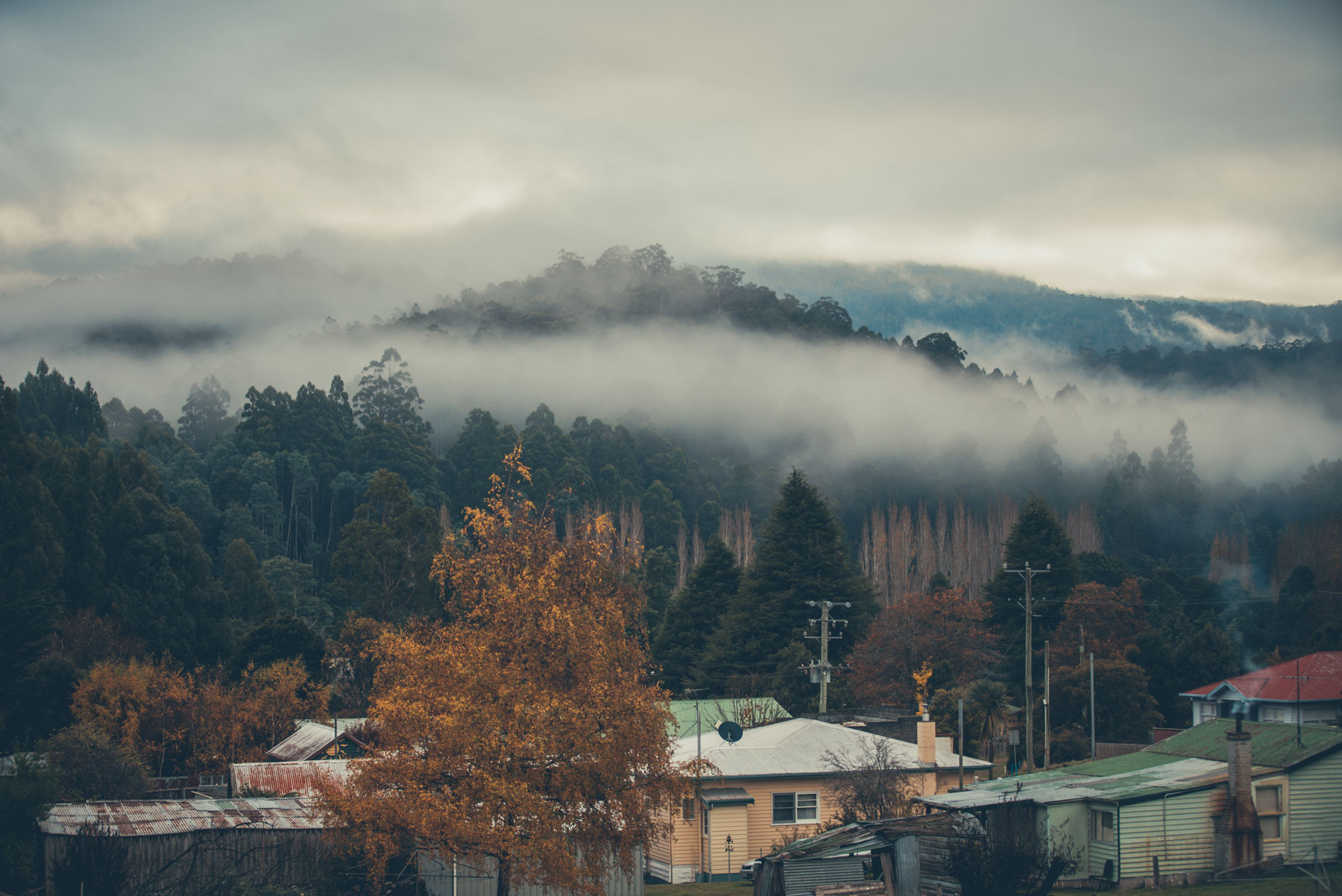 Maydena Bike Park, Tasmania - Site Visit and FAQs
