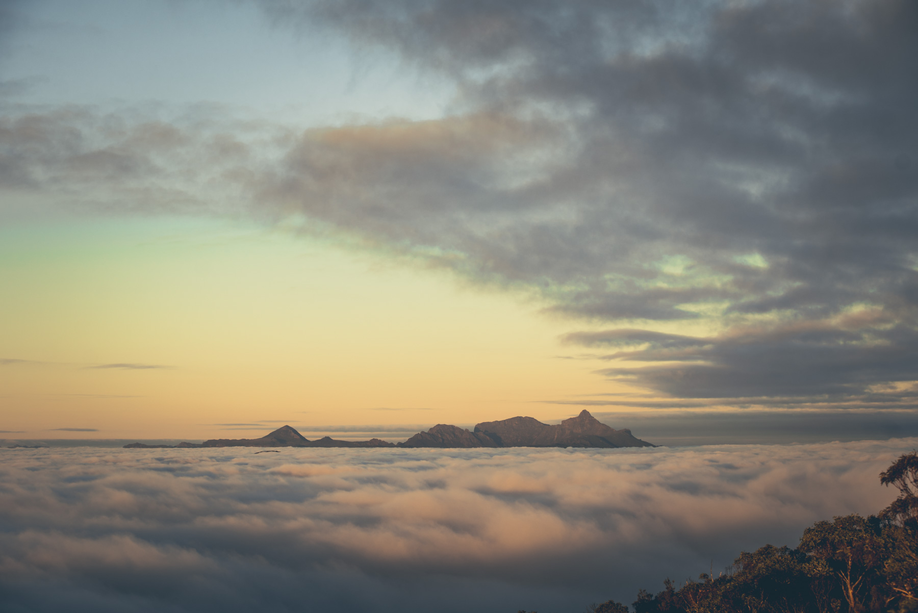 Maydena Bike Park, Tasmania - Site Visit and FAQs
