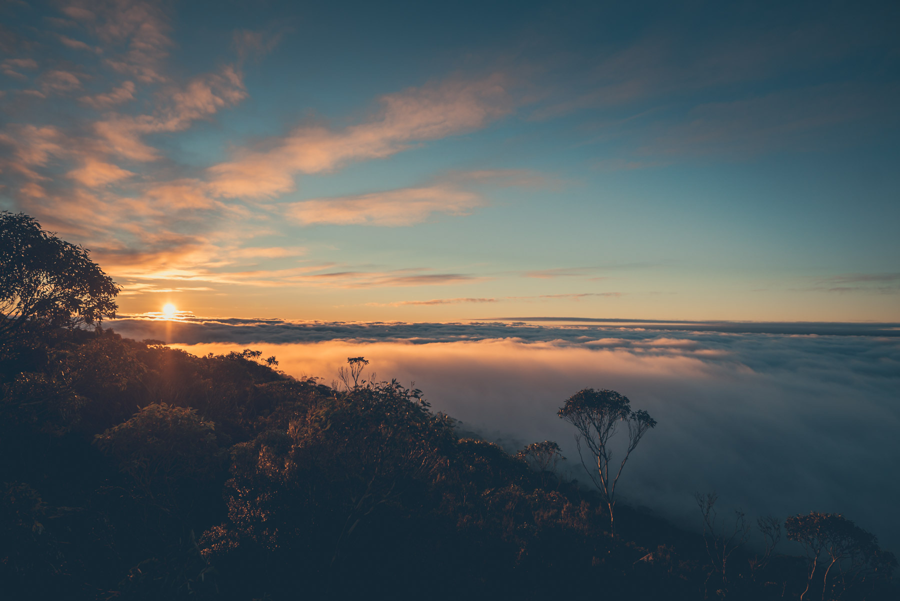 Maydena Bike Park, Tasmania - Site Visit and FAQs