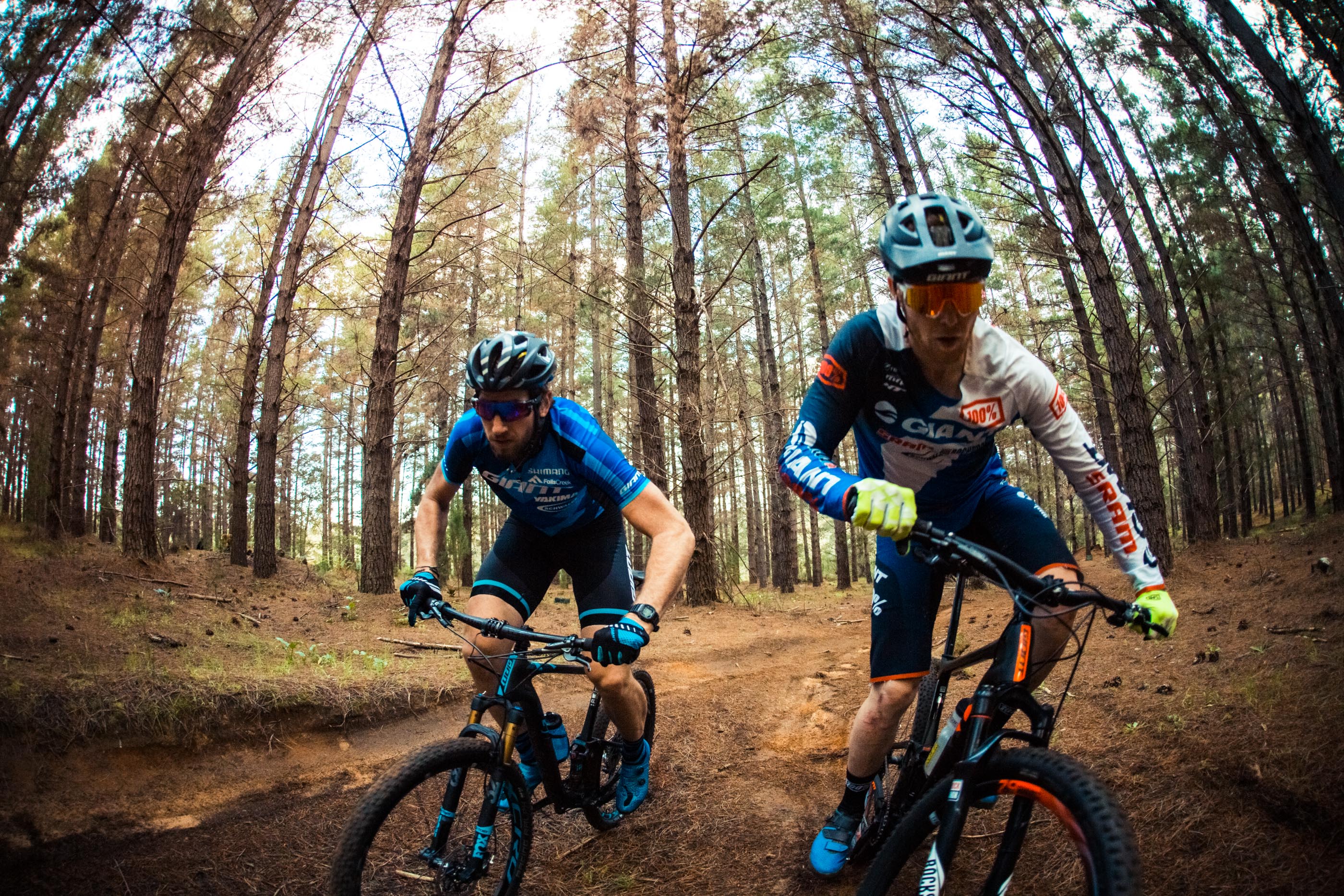 A Complete Guide to Mountain Biking in Margaret River | Flow MTB