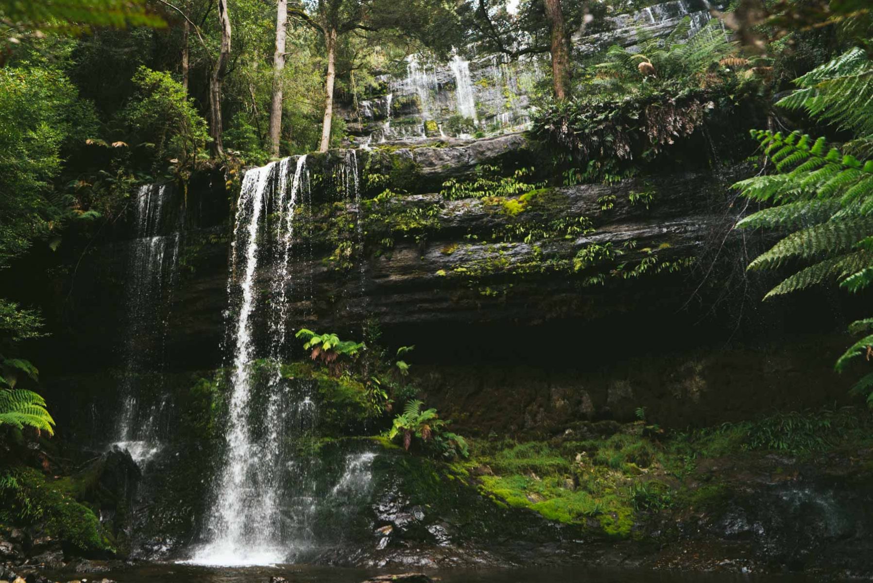 Flow Rides the Maydena Bike Park