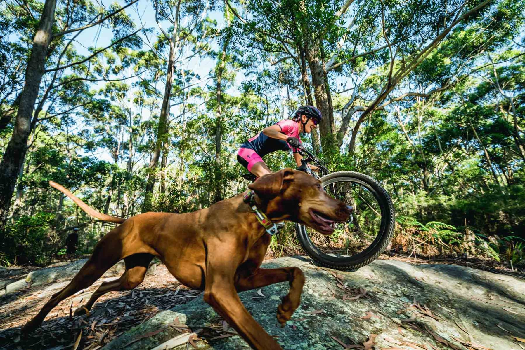 Samara Sheppard - From Wellington to Wollongong, to World Cups and ...