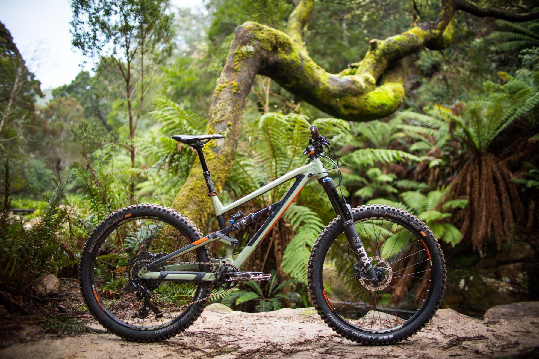 Ripping Derby, on the new Polygon Siskiu N Series