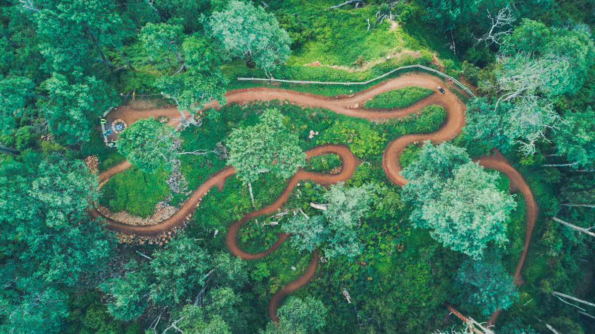 Everything you need to know about mountain biking in Blue Derby