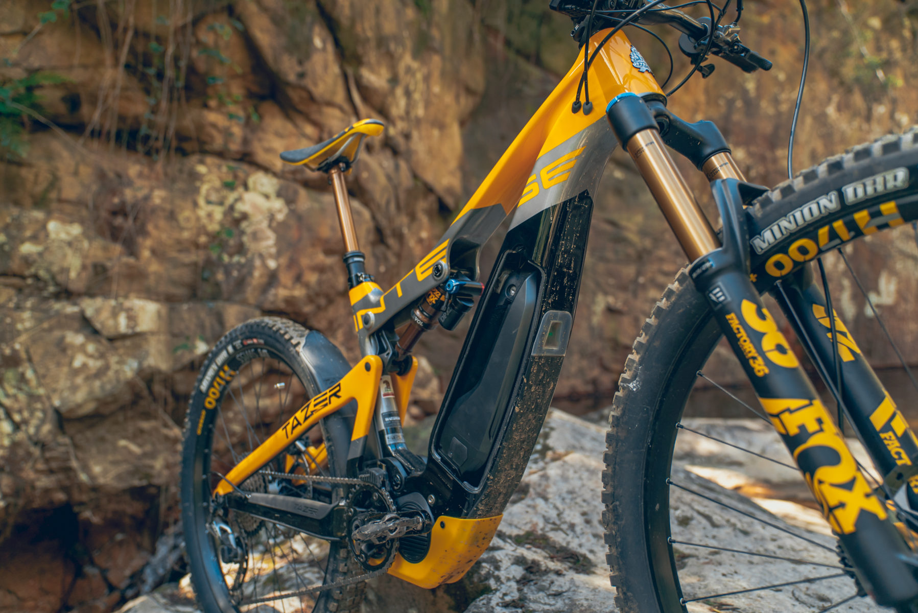 Intense Tazer - First Impressions