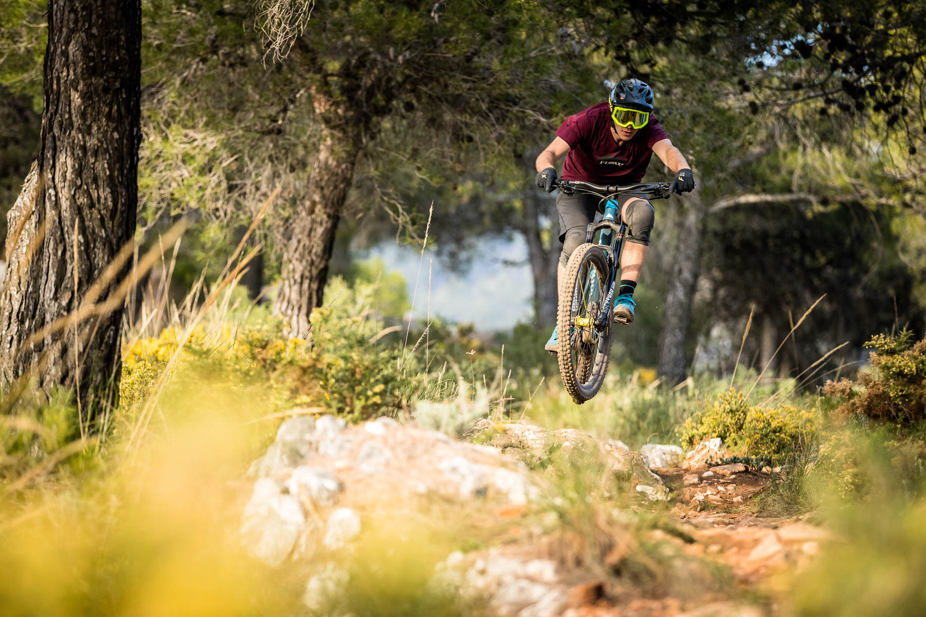 TESTED: Canyon Strive 2019