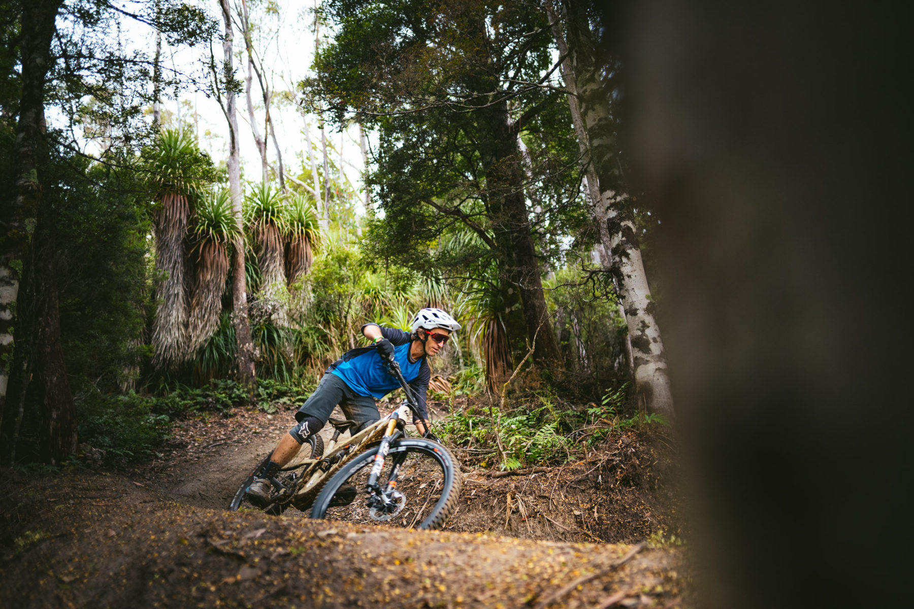 Maydena Bike Park, One Year On - What's New?