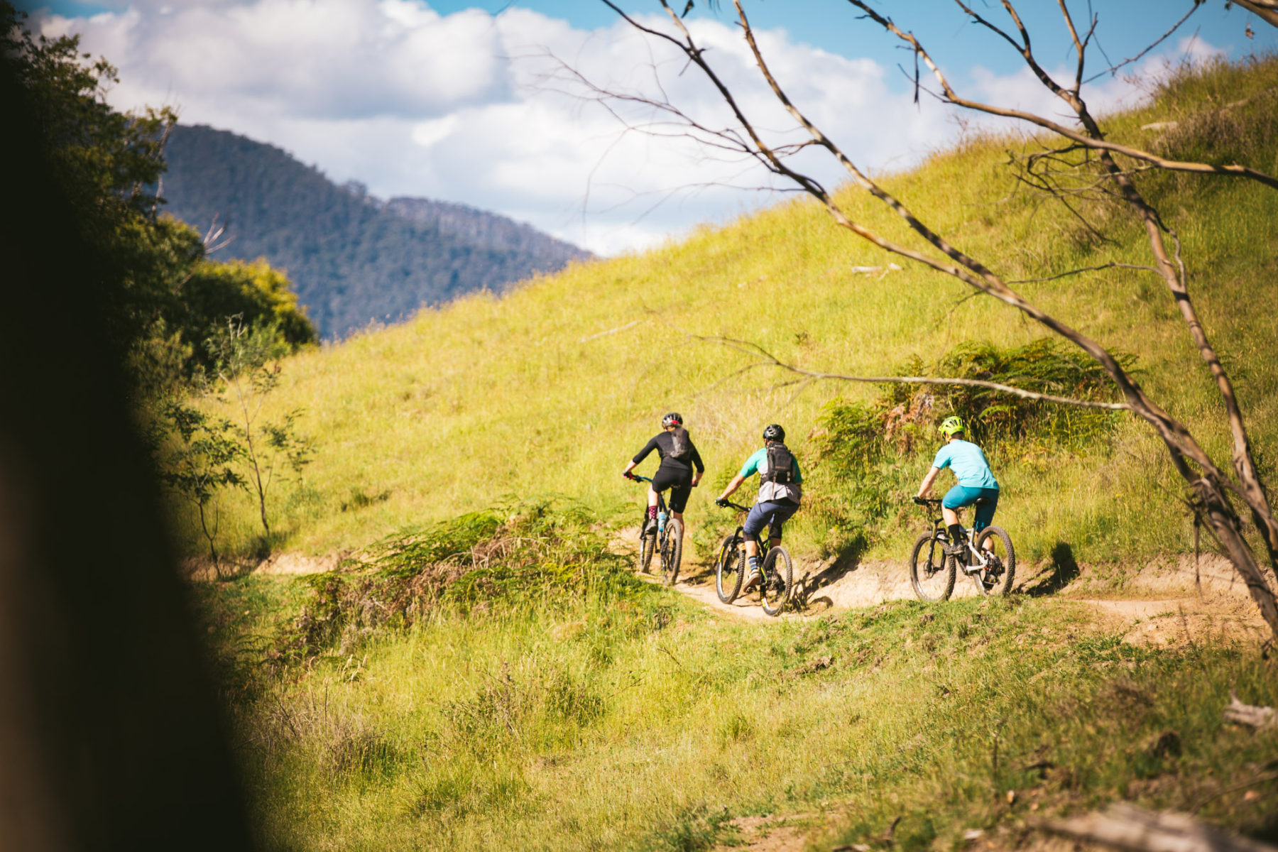 High Country in Motion - Mt Beauty
