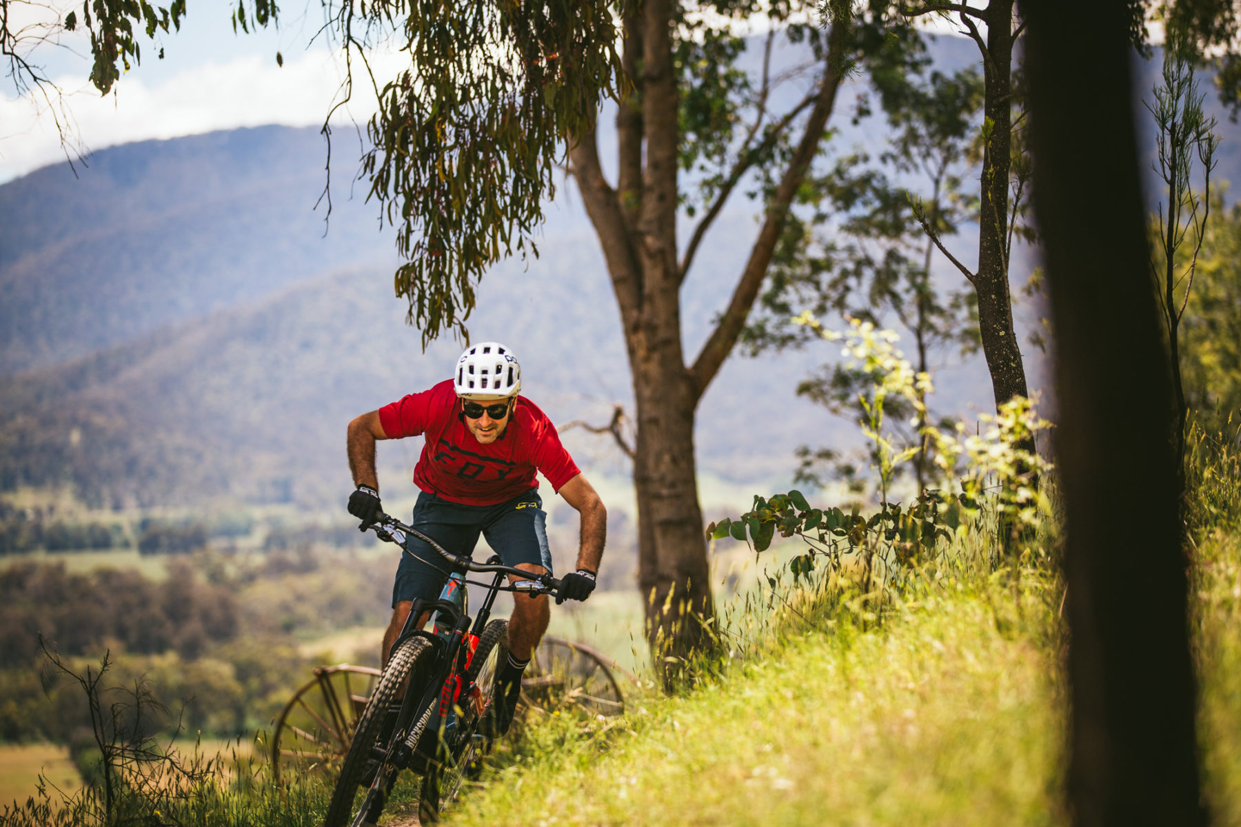 High Country in Motion - Mt Beauty