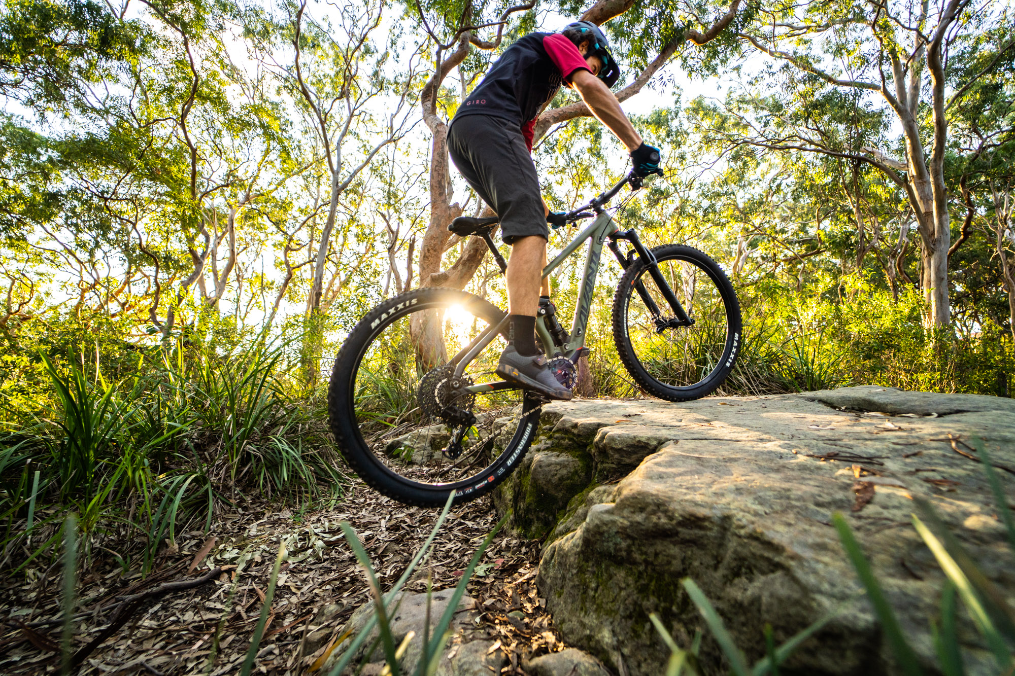 Reviewed: Avanti Hammer S2