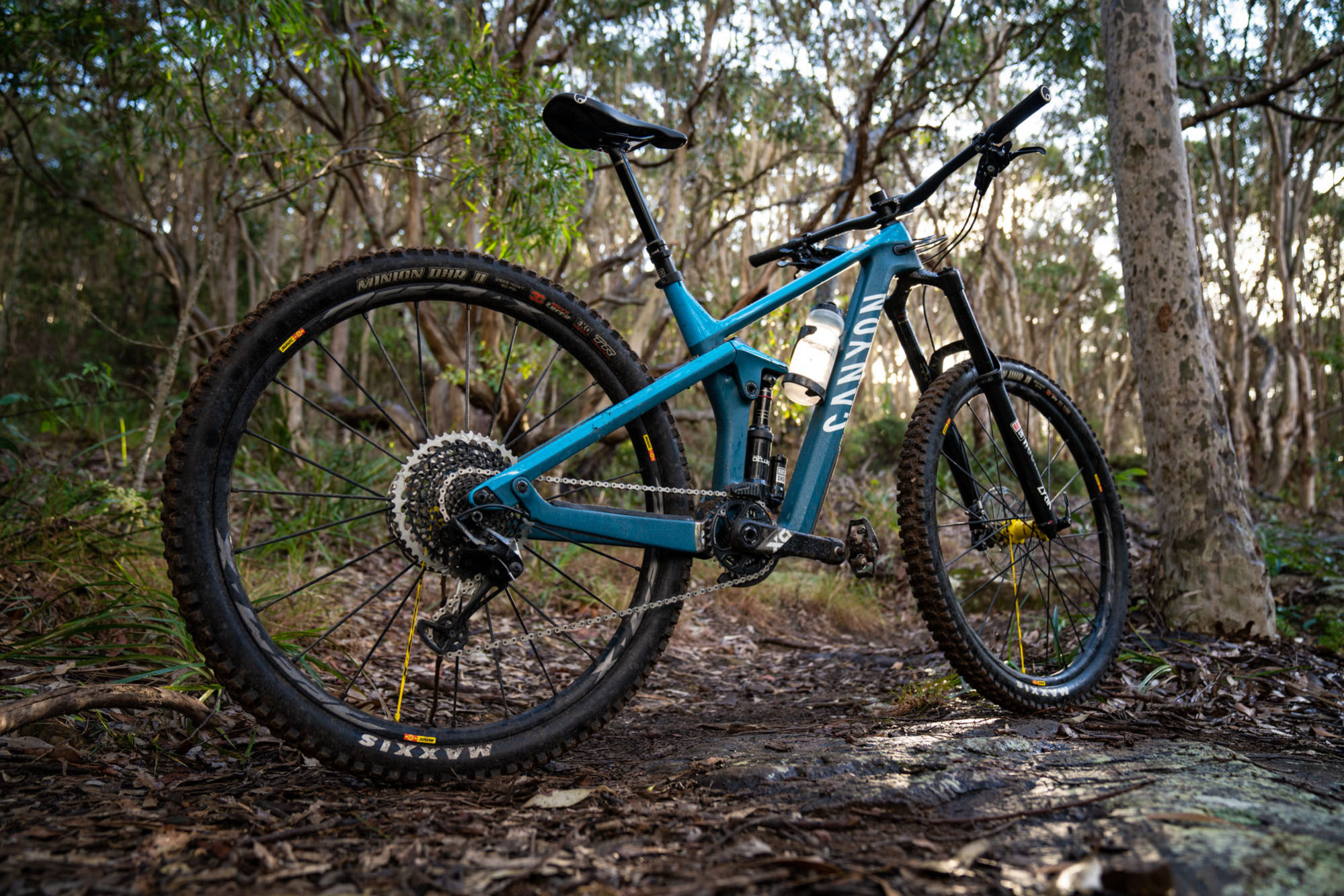 Long Term Test: Canyon Strive CFR 9.0 Team