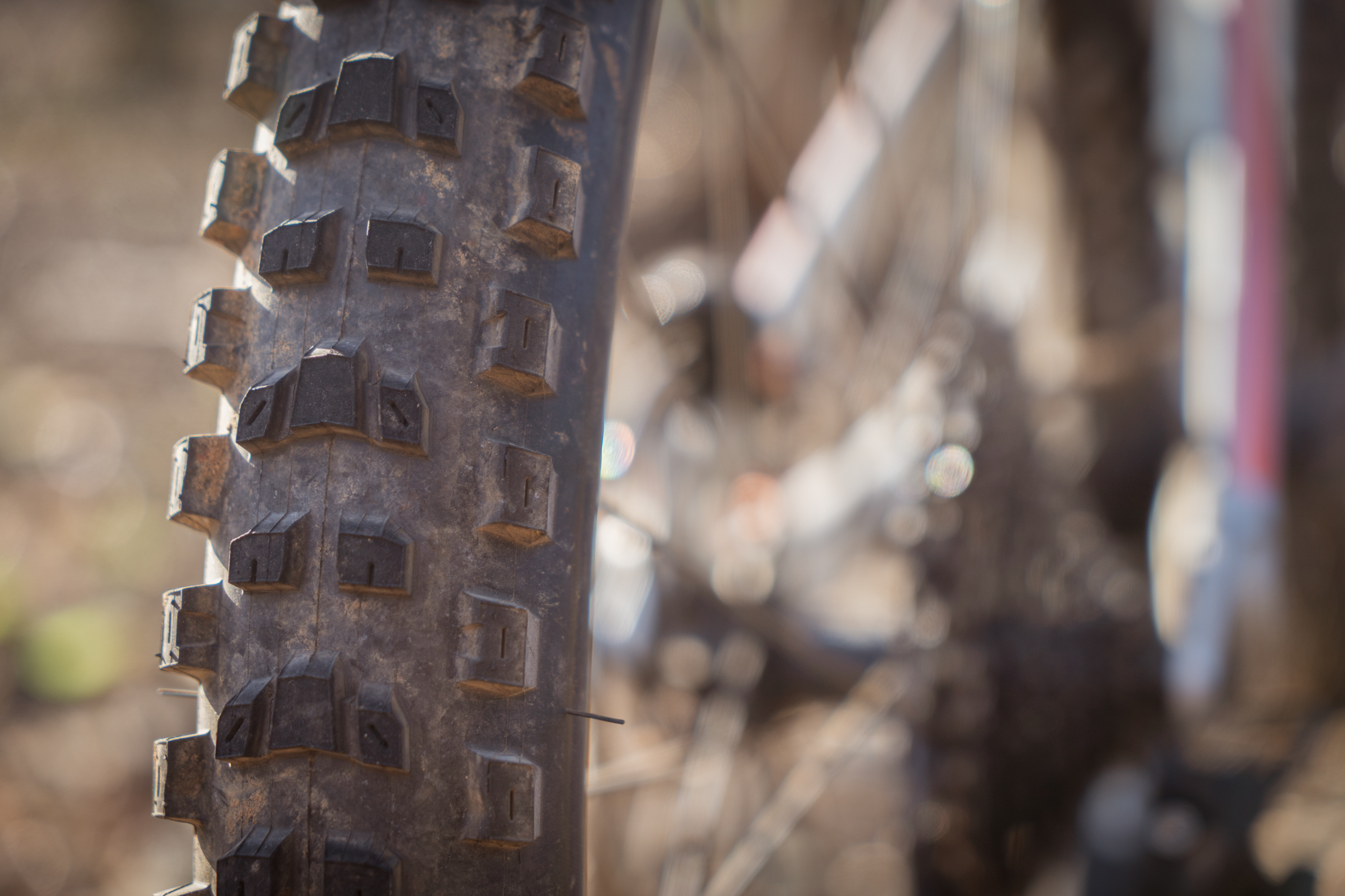 First Look | Maxxis Has A Brand New Tyre Called The Dissector