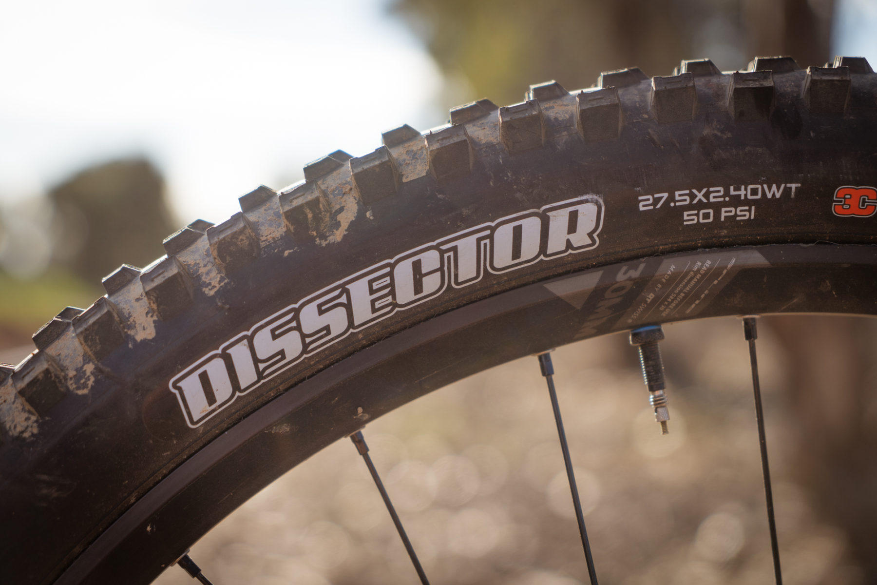 maxxis dissector Archives - Flow Mountain Bike