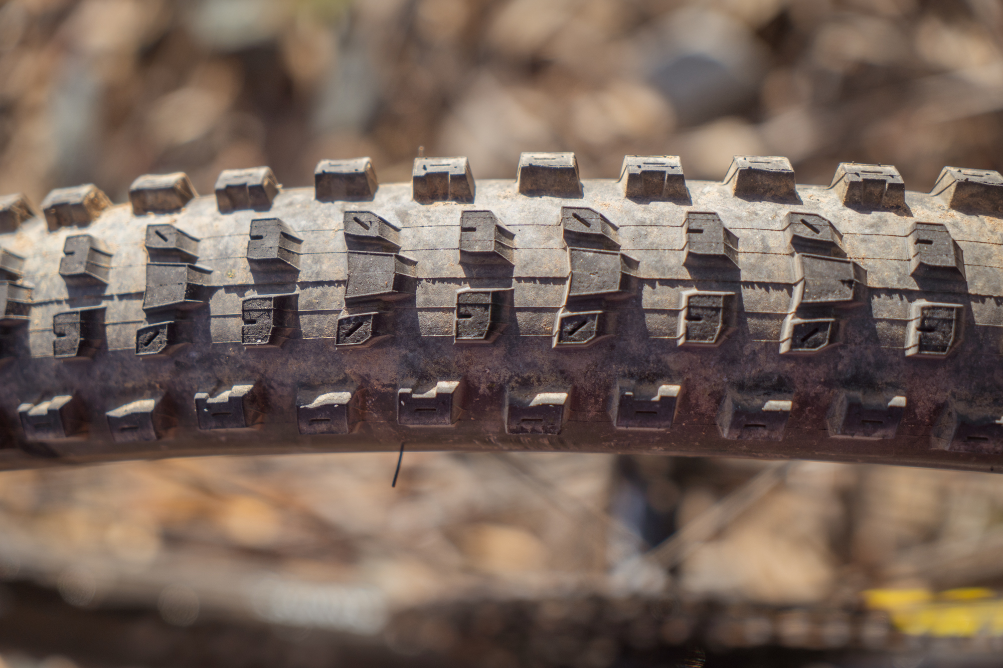 First Look | Maxxis Has A Brand New Tyre Called The Dissector