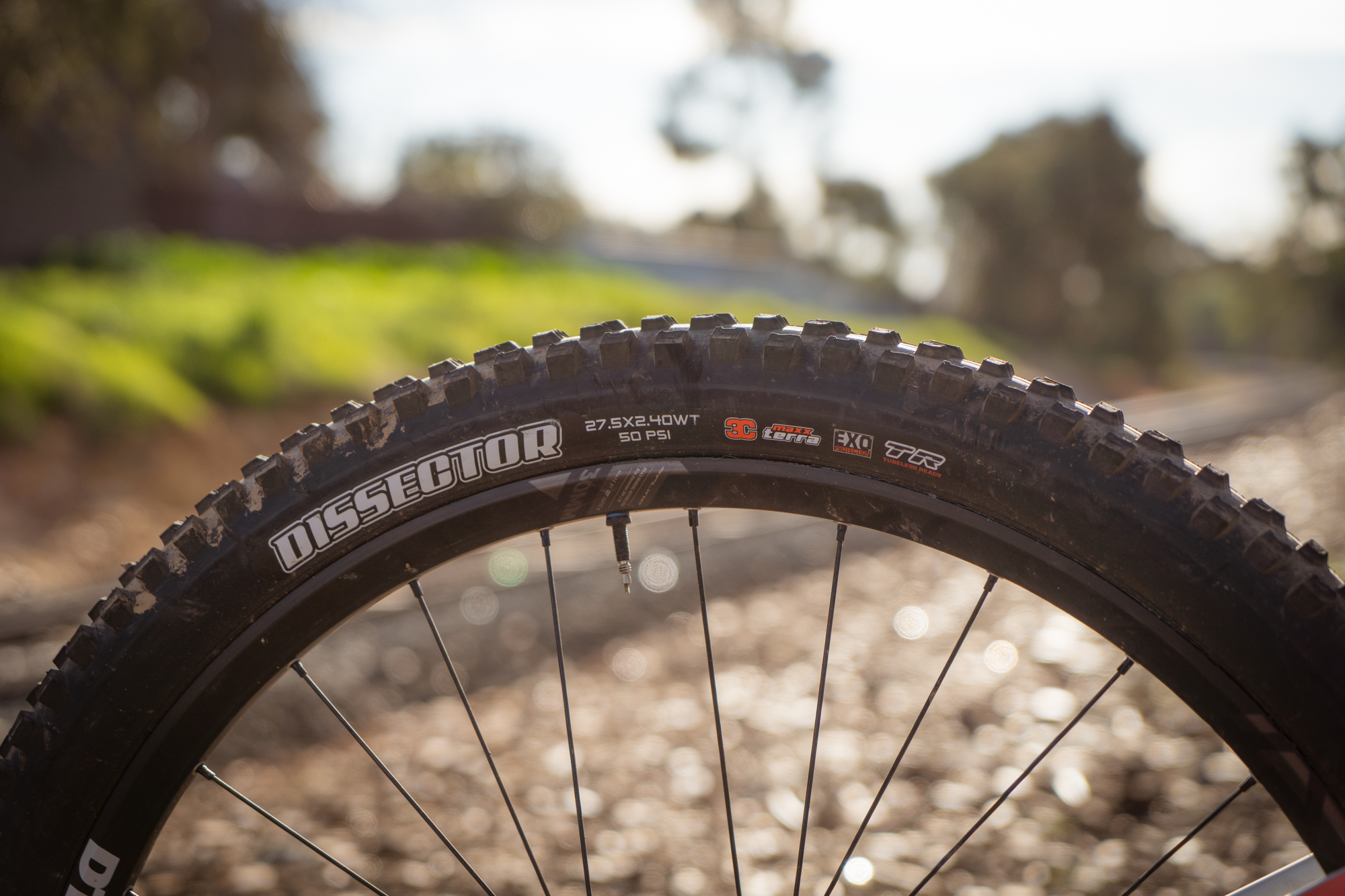 First Look | Maxxis Has A Brand New Tyre Called The Dissector