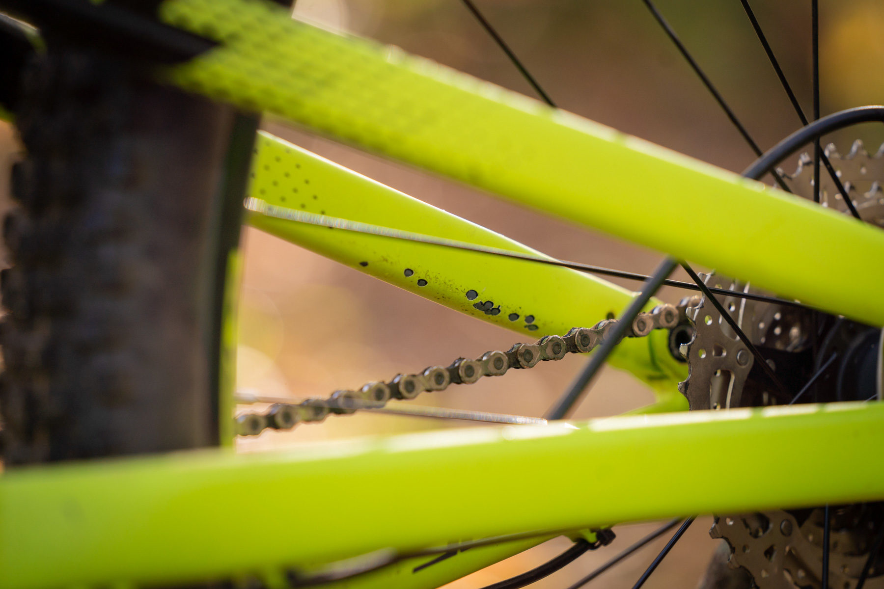 Polygon Siskiu D6 Review | The hardtail vs full suspension rule breaker?