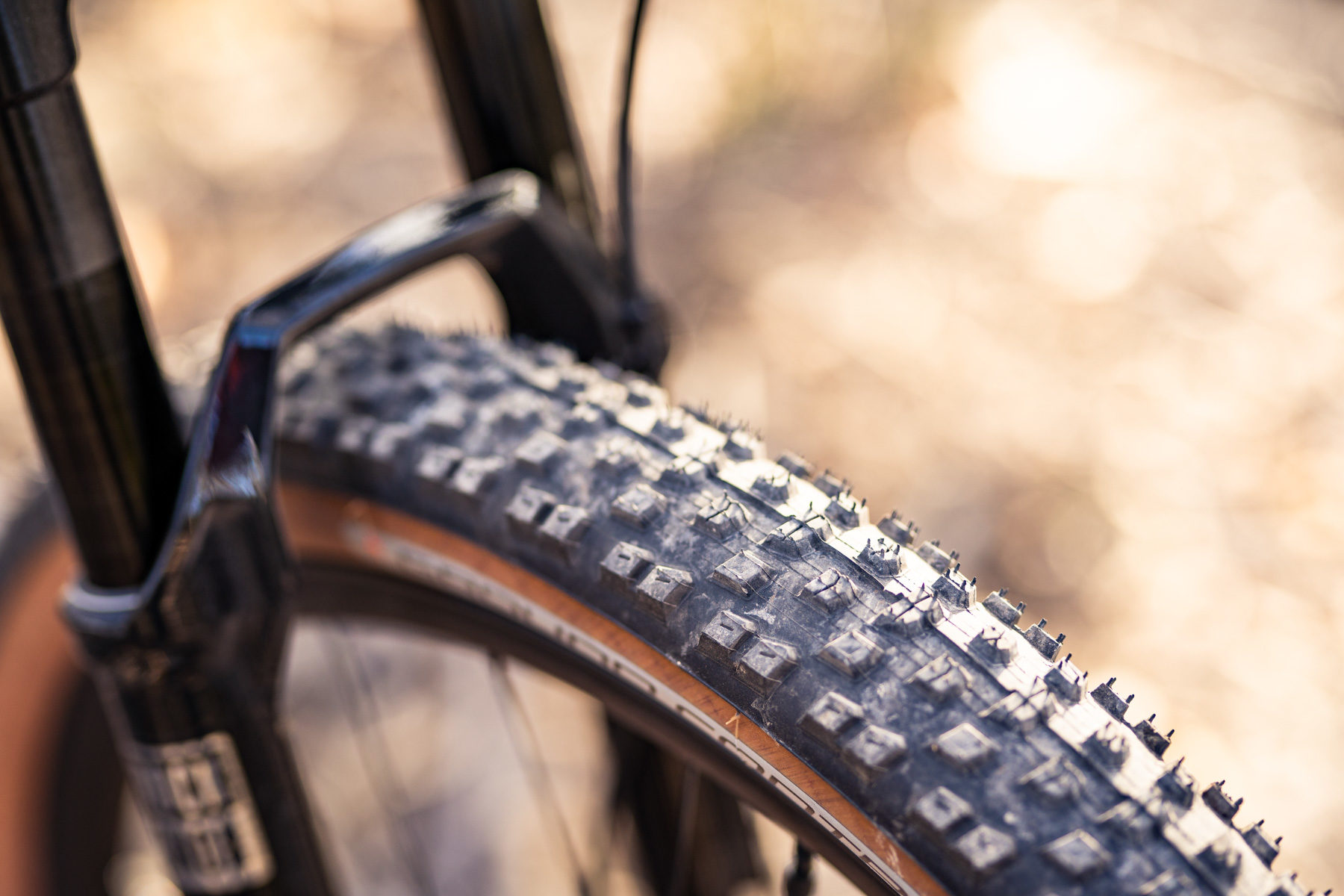 Specialized Epic EVO Review | The new 2021 Epic EVO ditches the Brain