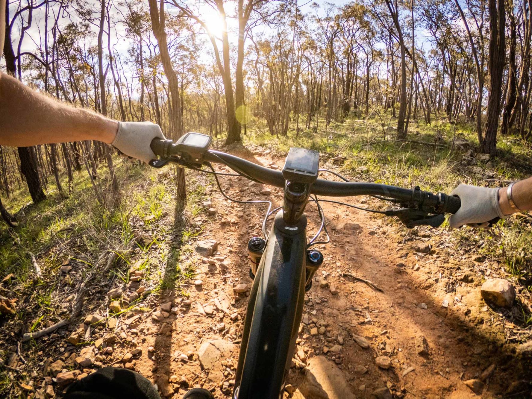 Cube Stereo Hybrid 160 Review | A mega-value long travel e-MTB