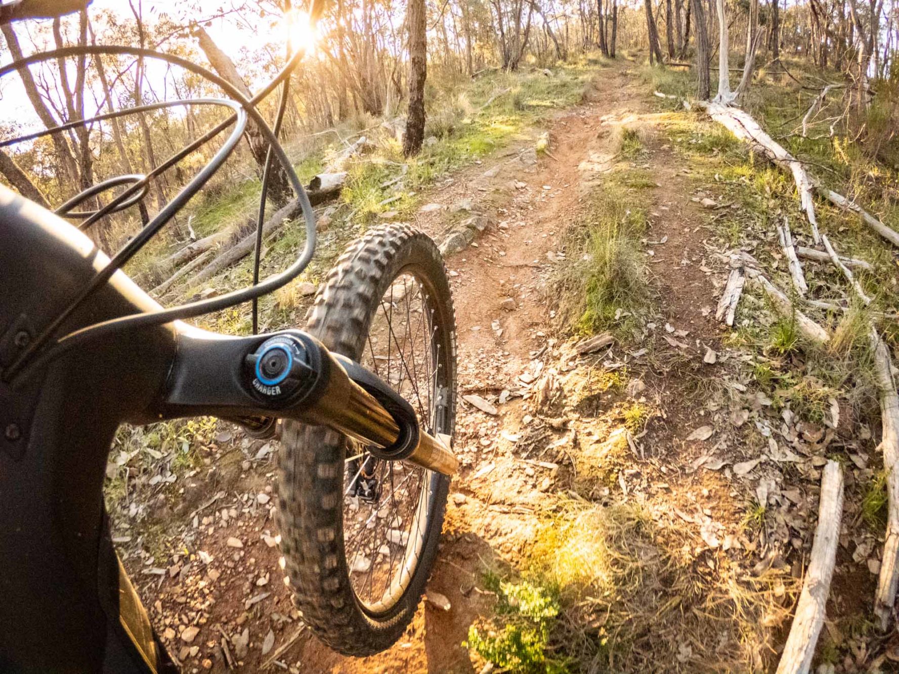 Cube Stereo Hybrid 160 Review | A mega-value long travel e-MTB