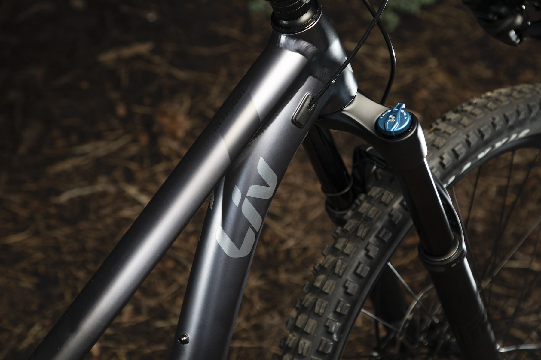 Giant Trance X 29 2 Review | Giant's all-new 29er trail bike is its ...