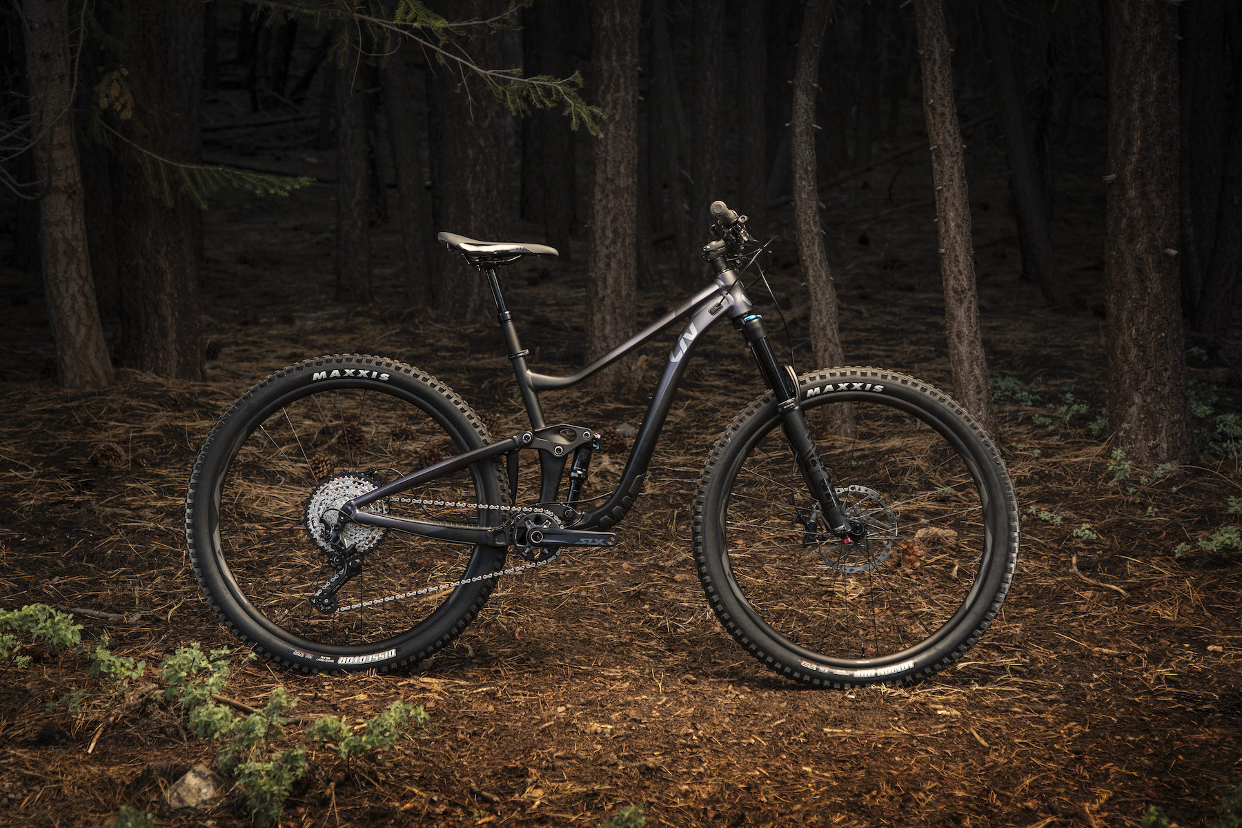 Giant Trance X 29 2 Review | Giant's all-new 29er trail bike is its ...