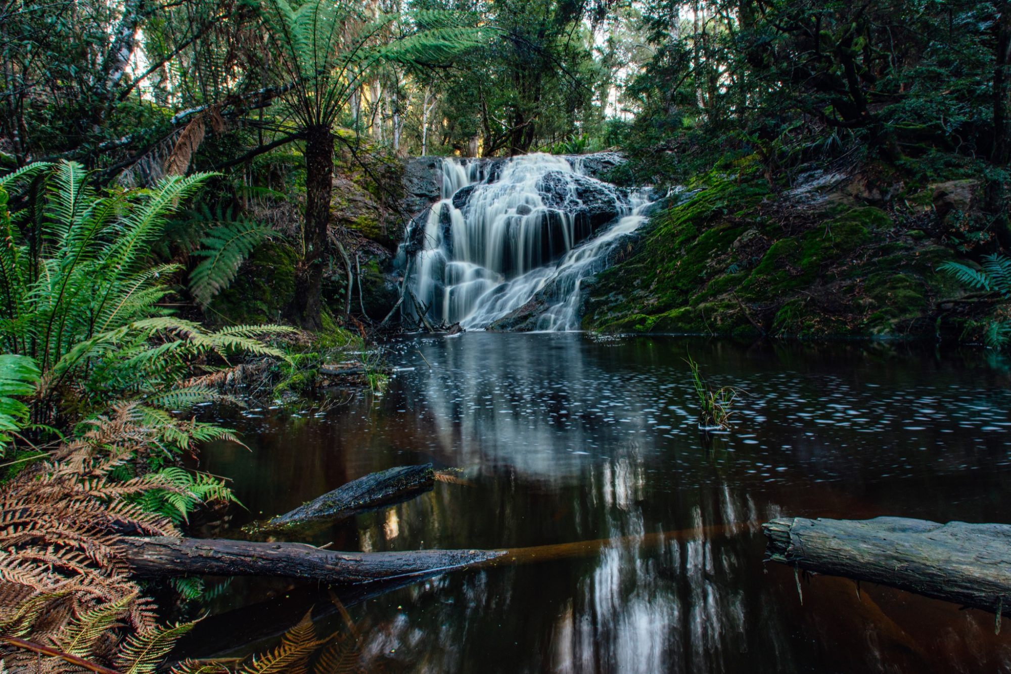 Must Ride | Wild Mersey MTB Trails, Tasmania