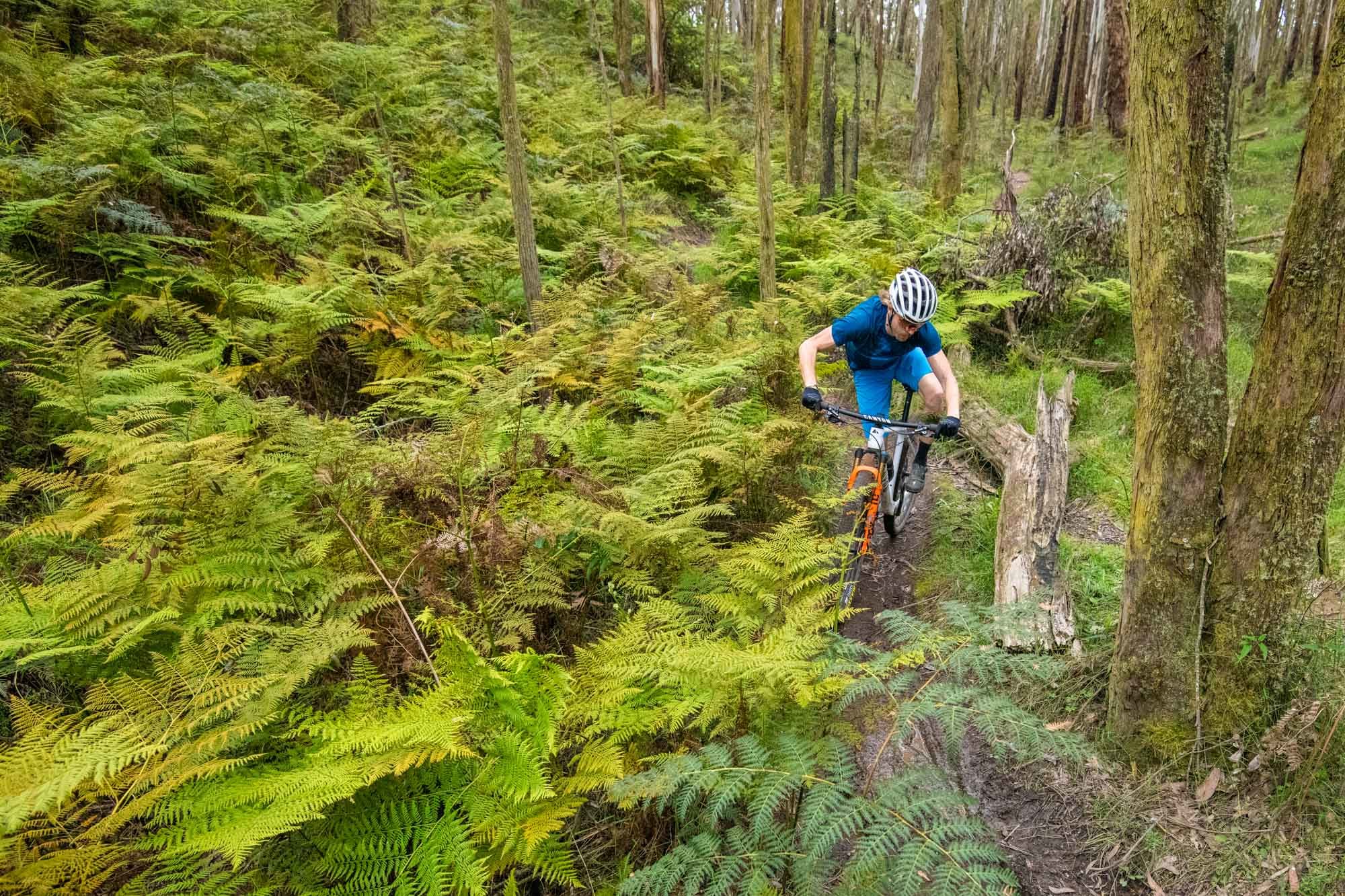 Canyon Exceed CFR 2021 Review | A super-light, unapologetic race bike