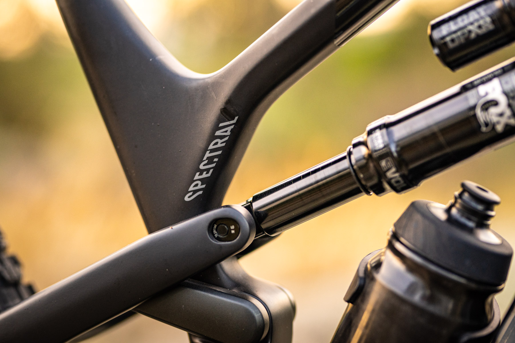 Canyon Spectral 29 Review | A brilliant long travel granite smasher