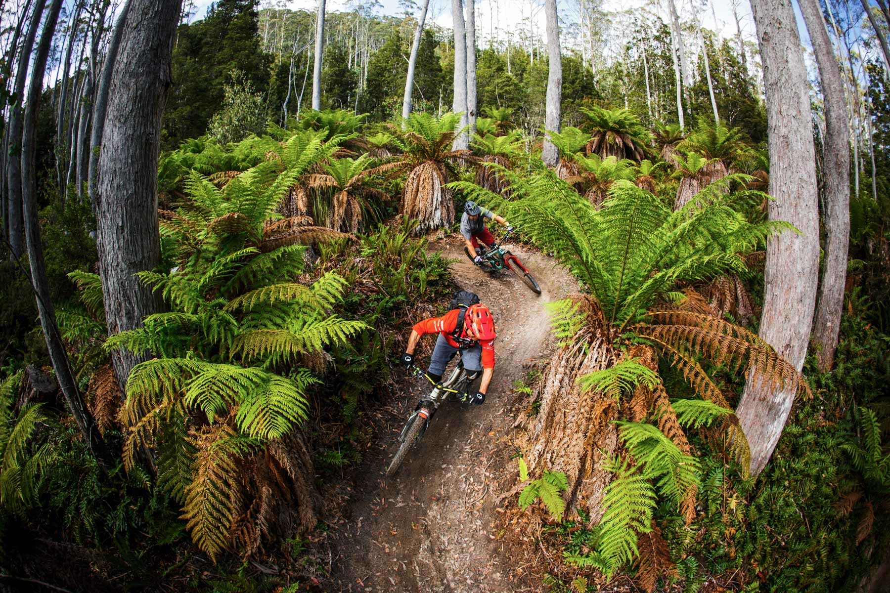 Maydena Bike Park, One Year On - What's New?