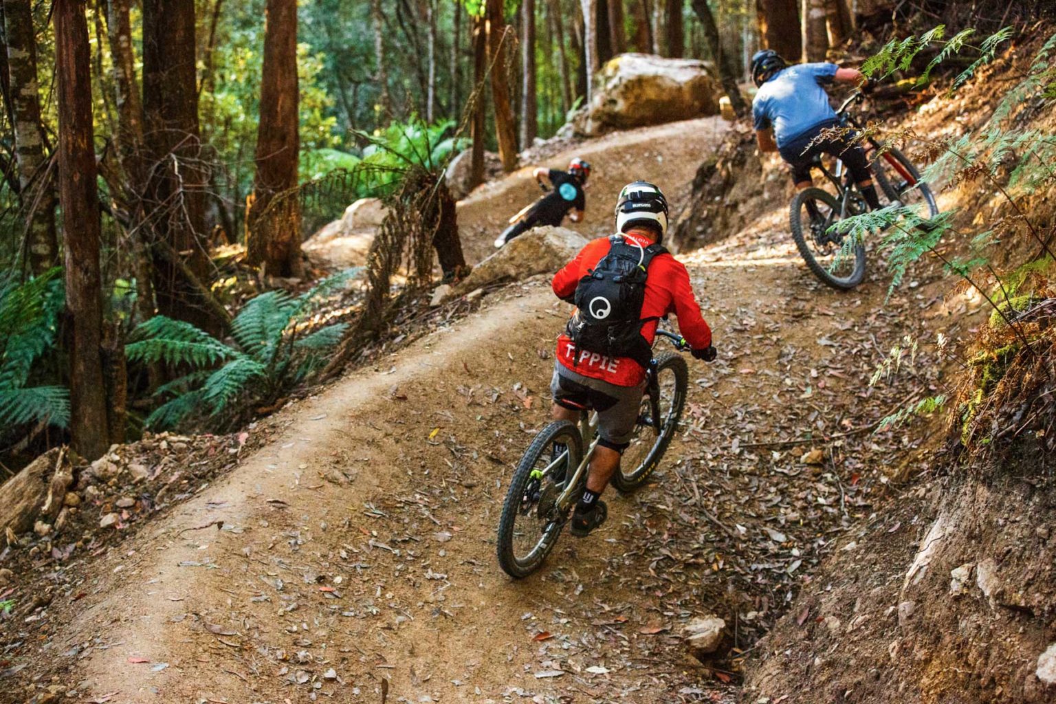 Canadian MTB Legend, Brett Tippie, Rides Maydena Bike Park, Tasmania