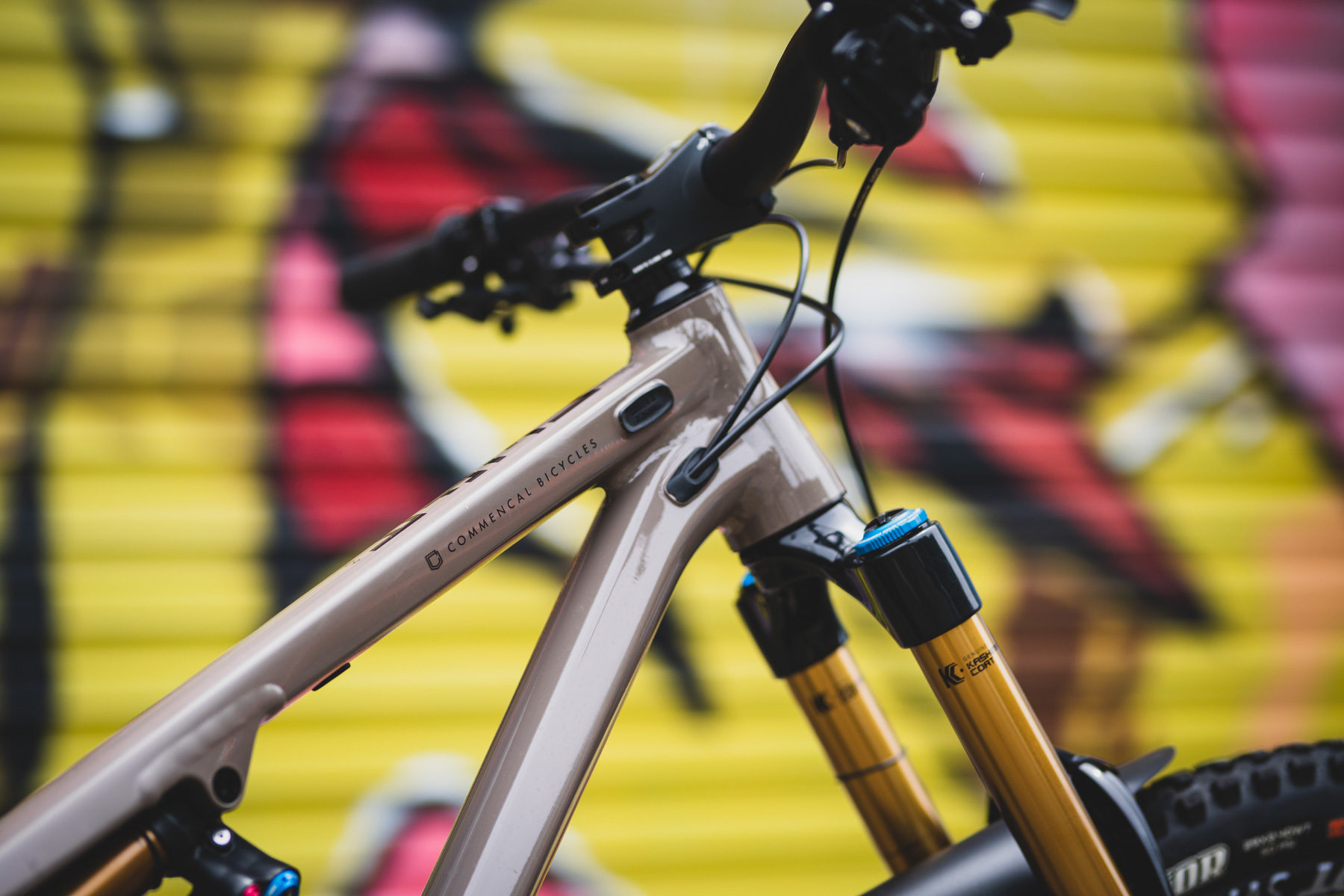 Commencal Meta TR 29 Review | The aggressive all-metal Andorran