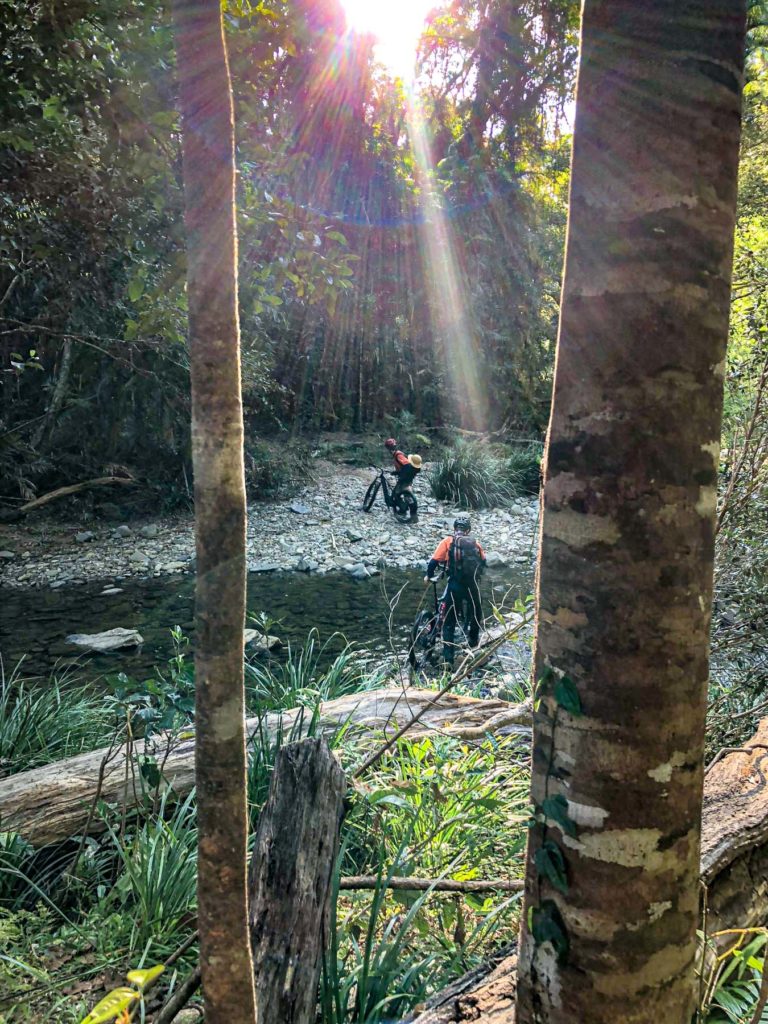 What's Up With The Wangetti Trail - Palm Cove to Port Douglas, QLD