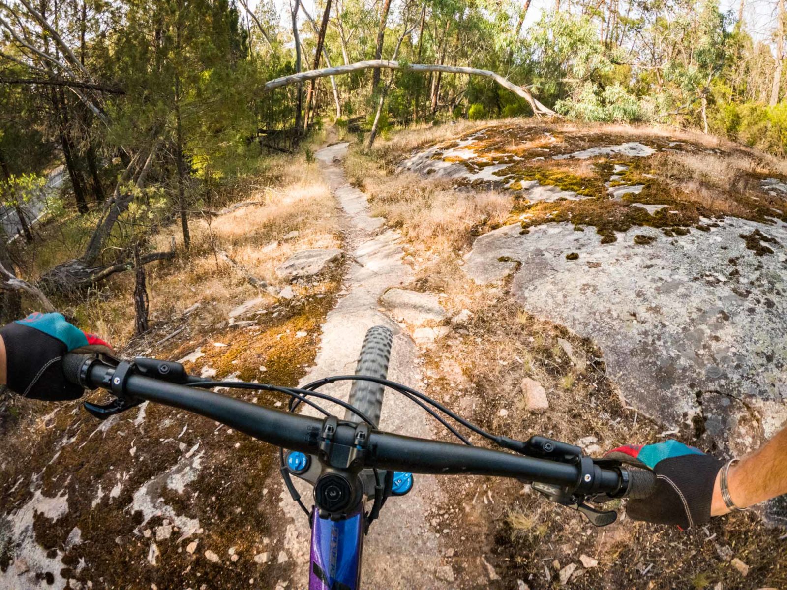 Polygon Siskiu T8 Review | Big fun without the big price tag