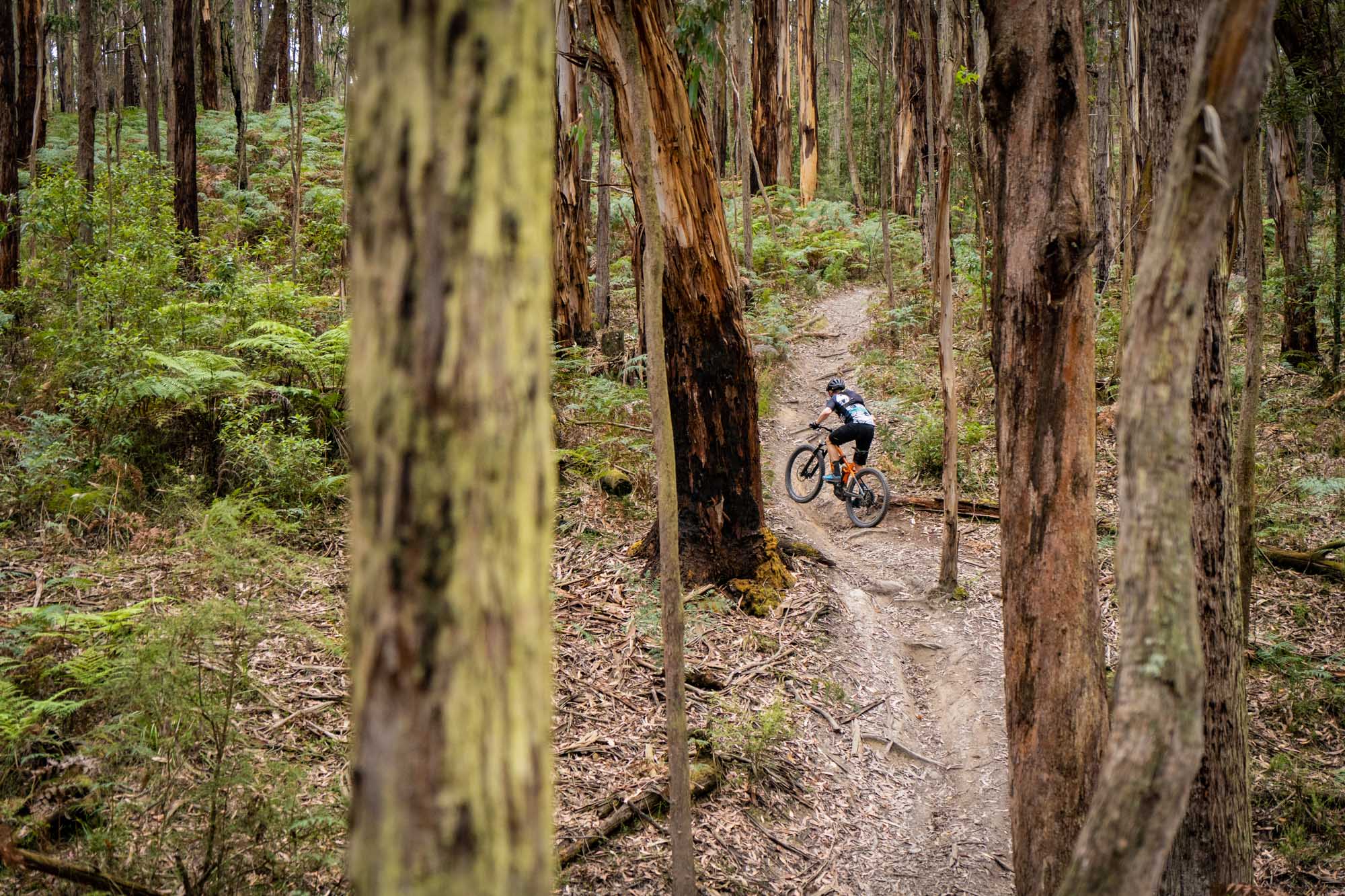 Trek Rail 2021 Review | A powerful, big travel e-MTB with big confidence