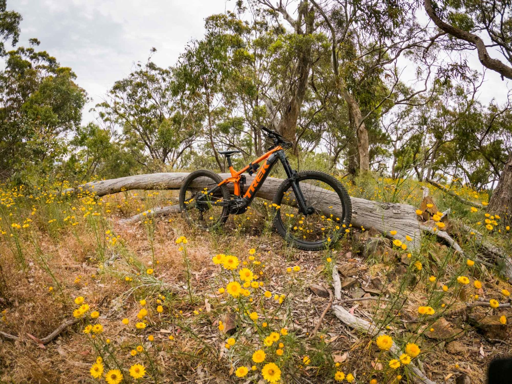 Trek Rail 2021 Review | A powerful, big travel e-MTB with big confidence