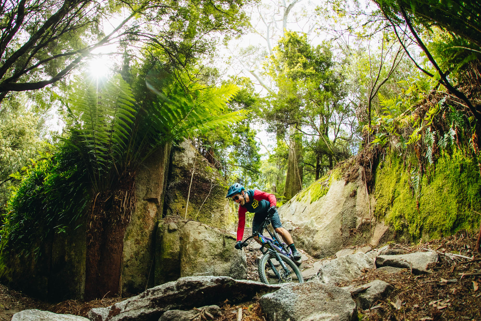 300 Riders Prepare For Tasmania’s New Dragon Trail MTB