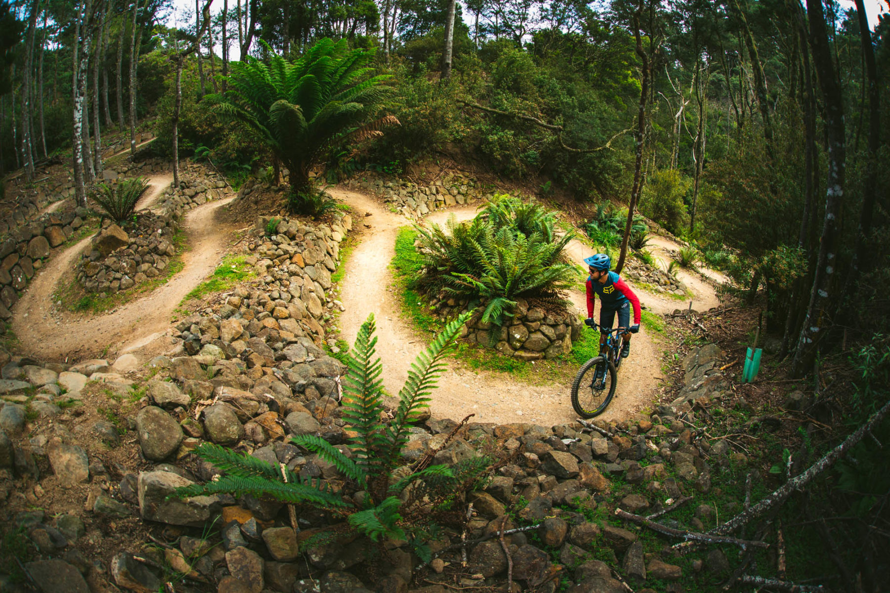 Racing Archives - Flow Mountain Bike