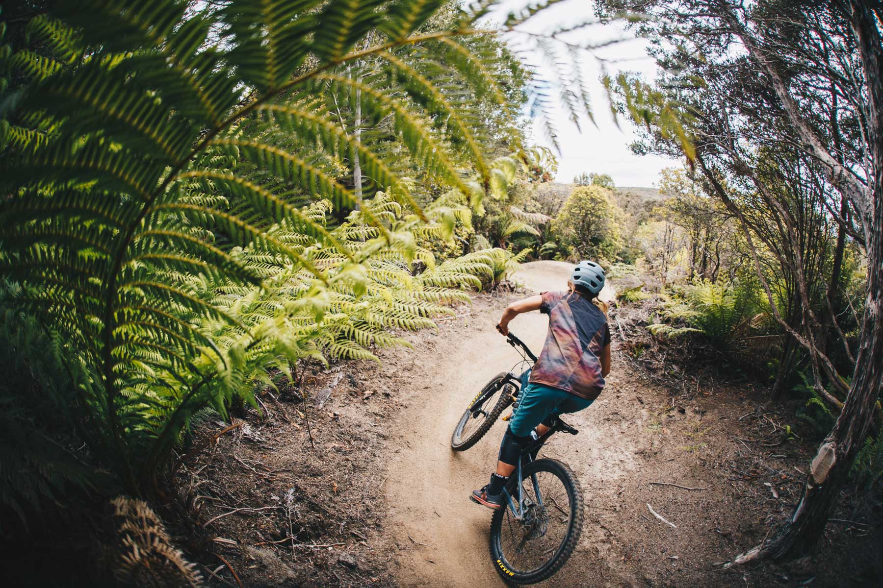 300 Riders Prepare For Tasmania’s New Dragon Trail MTB
