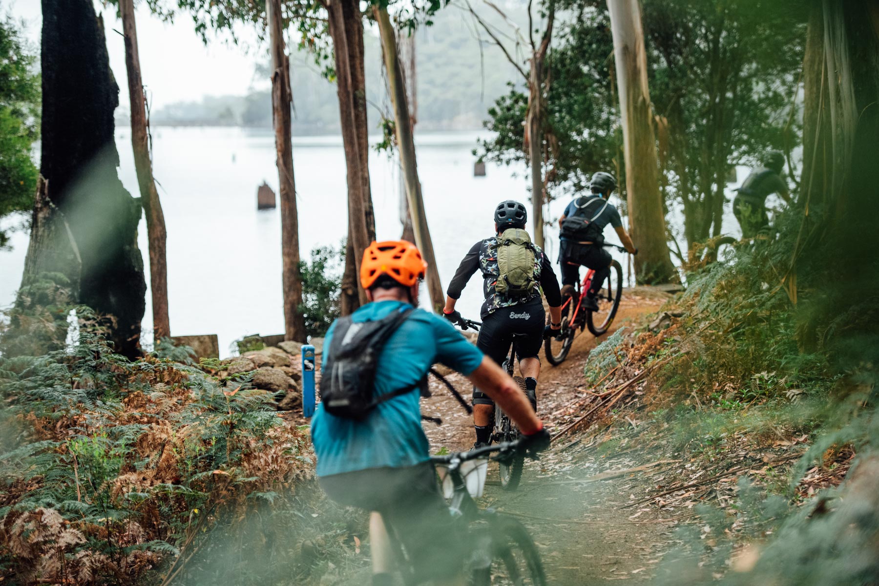 The smells, sights, and sounds of the 2021 Dragon Trail. Tasmania's New ...