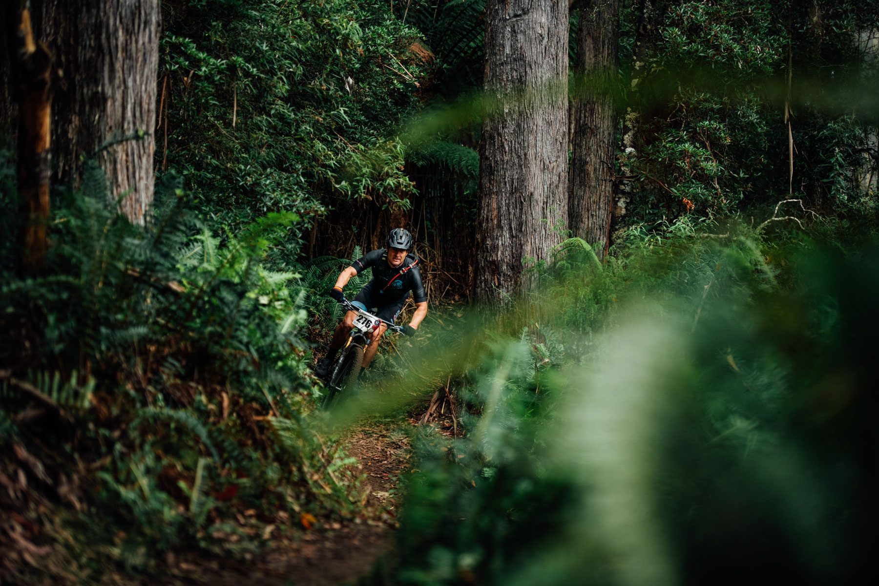 The smells, sights, and sounds of the 2021 Dragon Trail. Tasmania's New ...